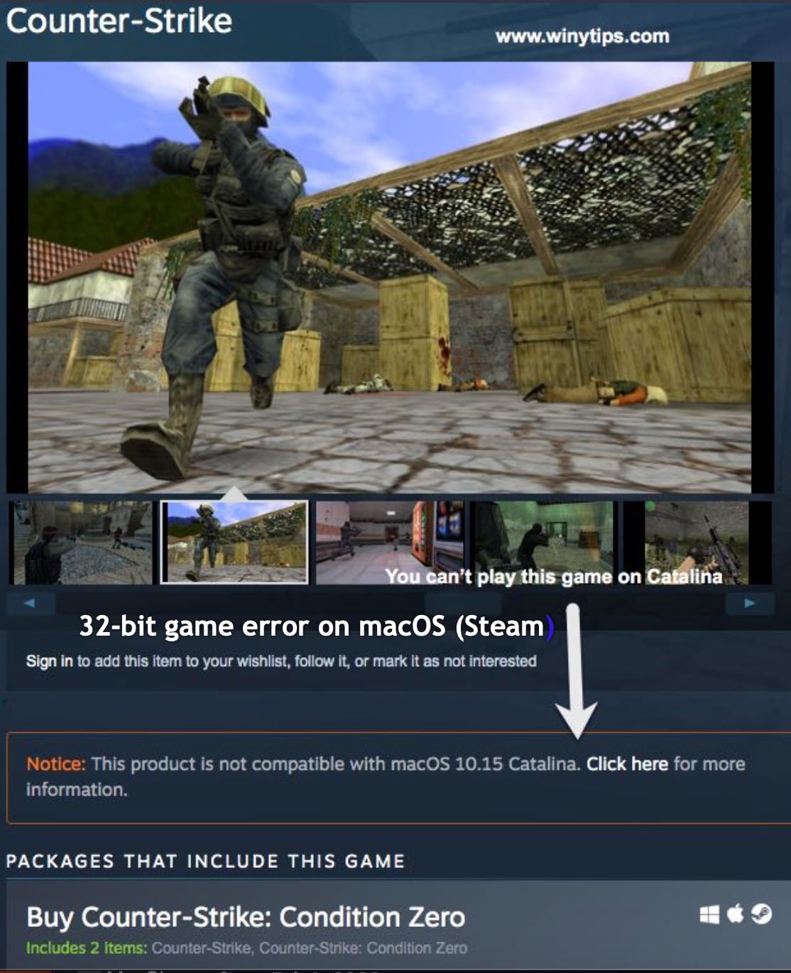 Play 32-bit games on MacOS ( Run old Steam & Windows titles)